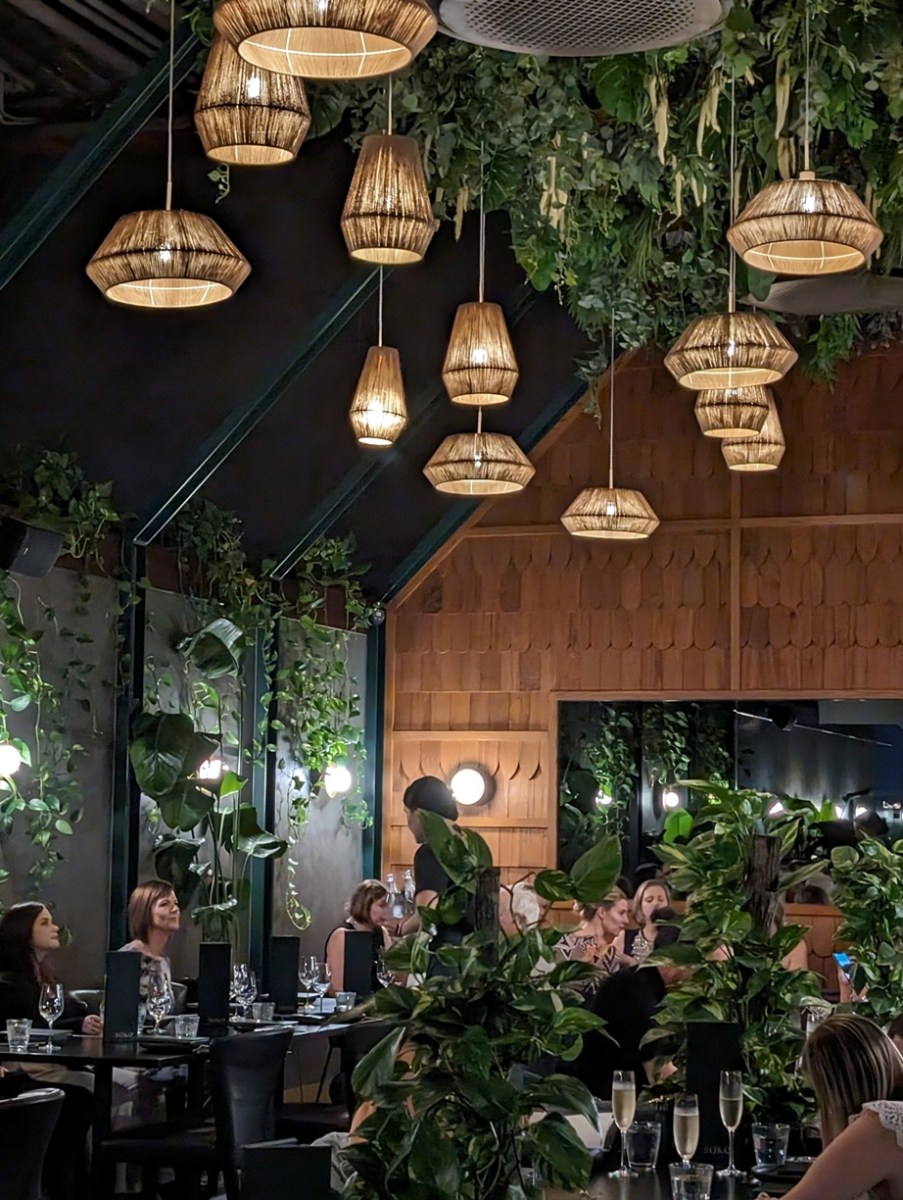 SOKO – Welcome to the Jungle! – Pixsell Travels